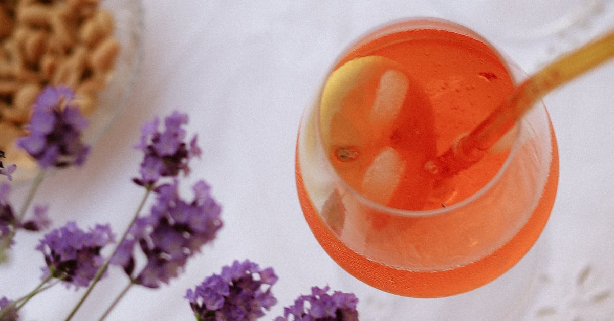 13 Light & Lower‑Alcohol Spritzes for Aussie Summer (Tastes Great, Eas ...
